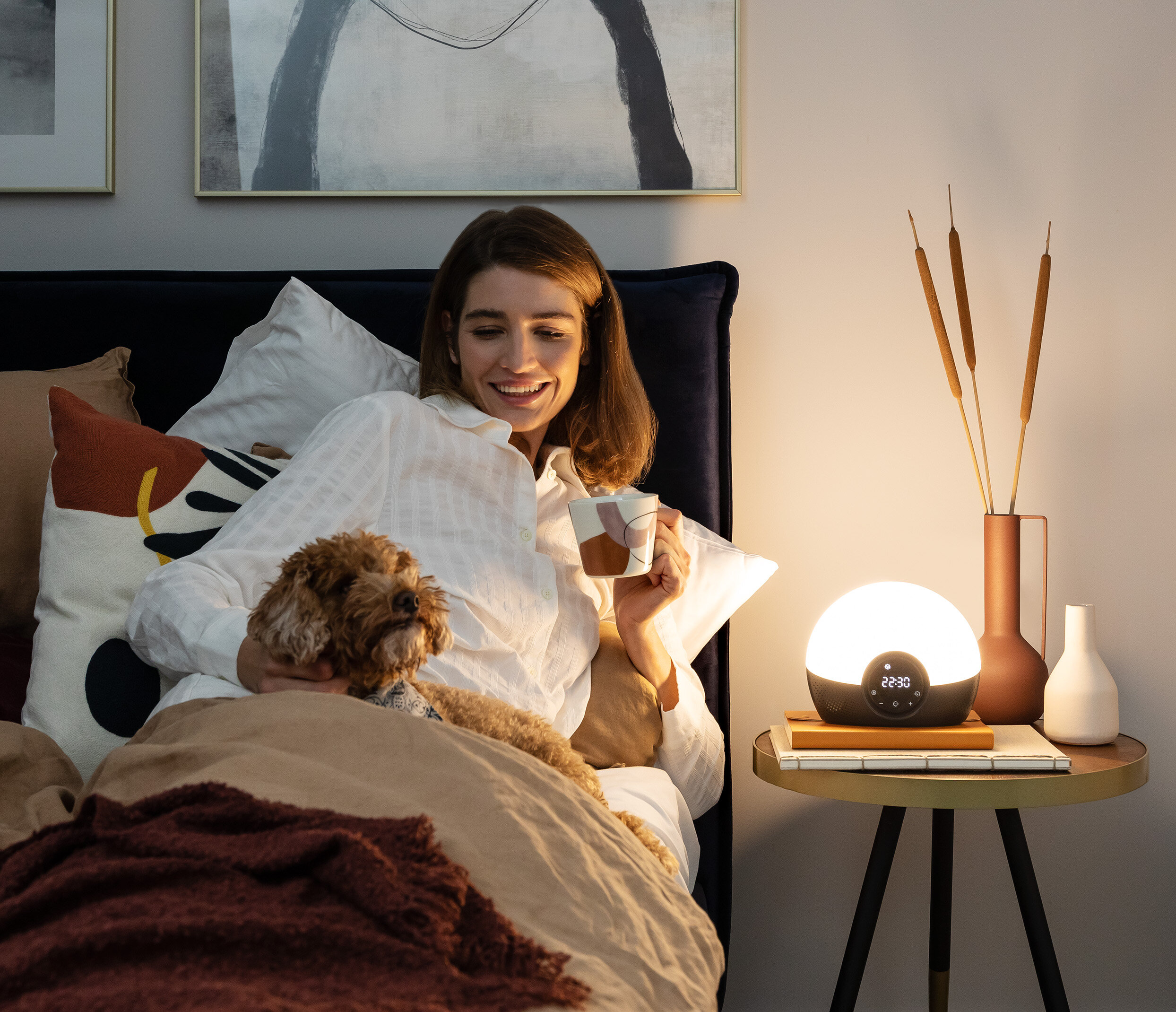 BUY DIRECT Lumie® Bodyclock Wake-up Light, SAD Lamps & Bedbug